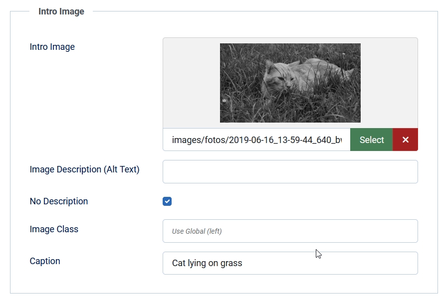 No Overrides Four Creative Ways To Modify Your Content Using Css Grid
