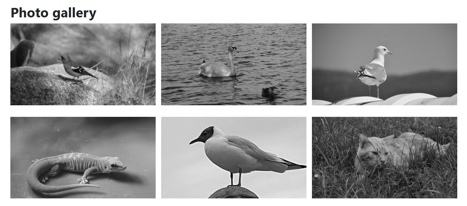 No Overrides Four Creative Ways To Modify Your Content Using Css Grid